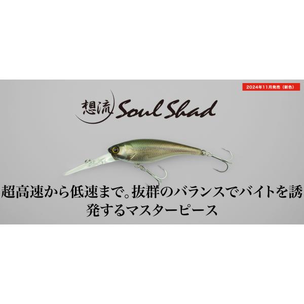 高い直進安定性低速でも高速リトリーブでもバランスを崩さない抜群のボディバランスと直進安定性を誇り、前傾の安定した姿勢でリアクションバイトを誘発します。高速リトリーブはもちろん、中層でのストップ&amp;ゴーやトゥイッチアクションも有効です。...