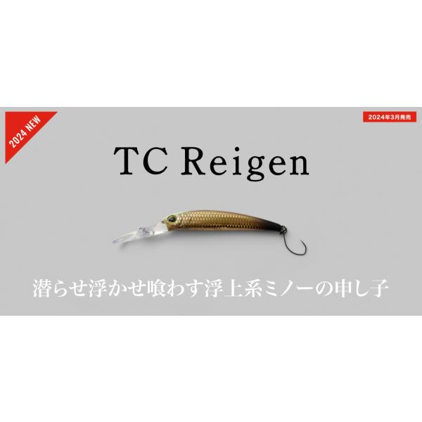 魚を魅了するサウンドTCレイゲンの特徴の一つとして、サウンドがあります。このサウンドはウエイトホールのウエイトを固定しないことによりラトルの役割を果たします。巻いてる時や浮上時に僅かに鳴るサウンドで活性の高い魚に口を使わせます。強すぎず弱す...