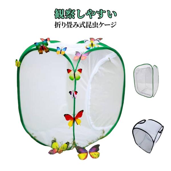 F　幅40*奥行40*高さ60cm