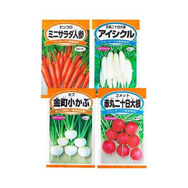 マルチカラー/-/901095・製造国:日本生産地:アメリカ・イタリア・オーストラリア・取扱い季節:通年