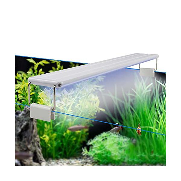 ホワイト・ブルー/-/01・Color:ホワイト・ブルー・高輝度5730のLEDビーズ付き合計60個LEDビーズがあり、光の安定性がよく、輝きを強く放ち、照射は水槽の奥行き、幻想的な水槽空間を作り出します。消費電力16Wで、LED光源は高い...