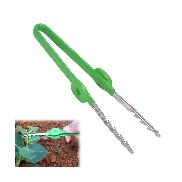 サラダトンググリーン/-/-・最適な園芸ツール園芸用ピンセットは、苗の移植や草むしり、土ほぐしなどに使用する最適な園芸用ピンセットで、より挟む力が強い逆歯デザインを採用し、鉢植えの便利的な道具になっています。・高品質優れた職人技で処理され、...