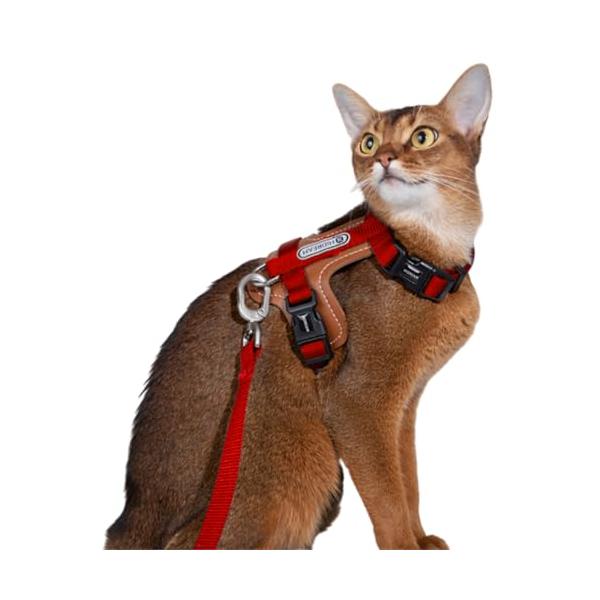 レッド/フリー/NH-001・Color:レッド・抜けない猫用ハーネスリードセット。 ネコちゃんの安全なお散歩や冒険をサポートするハーネスリードセットをご紹介します。 オシャレなデザインであなたのネコちゃんを一層魅力的に見せ、街中で注目の的...