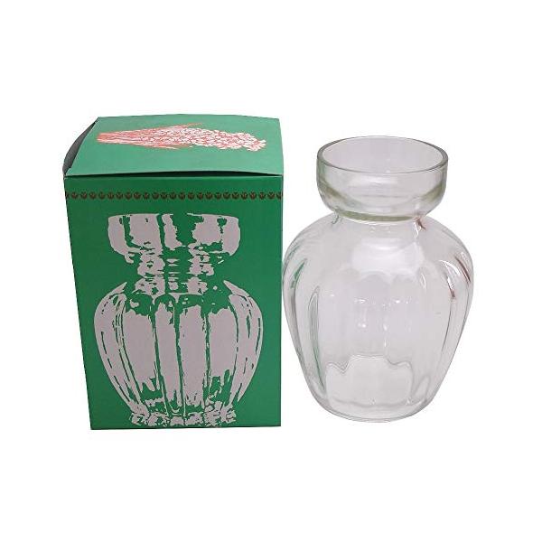 シンプルクリア/約H15cm×W9.5cm/1001・パッケージ個数:1・シンプルなデザインで安定感がある水栽培用のヒヤシンスビンです。・ヒヤシンス球根1球用です。・紙製化粧箱入りです。・商品サイズ：約H15cm×W9.5cm（上部内径6....