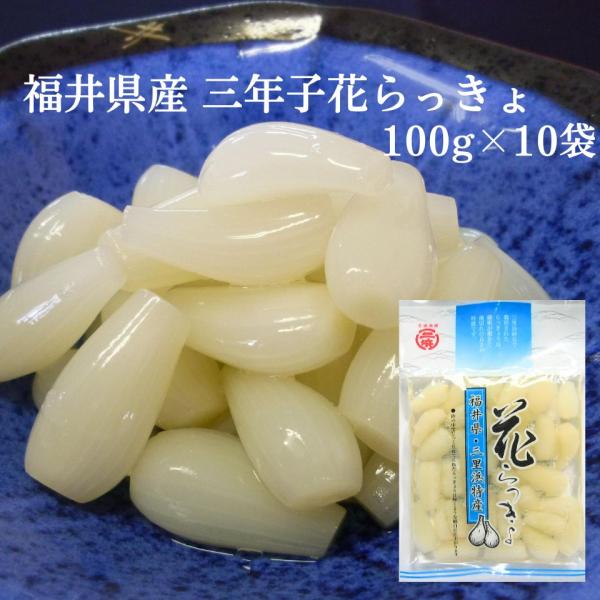 【商品名】福井県産 花らっきょう (三年子) 100g×10袋【商品説明】三里浜の花らっきょは日本海沿岸に細長くのびた砂丘地で栽培しています。花らっきょの中でも大粒を選んで、昔ながらの味付けにこだわり、砂糖・酢・塩だけで漬けました。粒の大き...