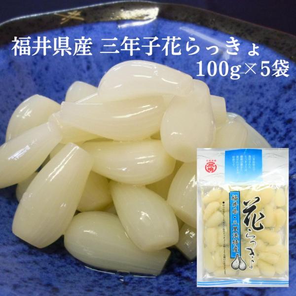【商品名】福井県産 花らっきょう (三年子) 100g×5袋【商品説明】三里浜の花らっきょは日本海沿岸に細長くのびた砂丘地で栽培しています。花らっきょの中でも大粒を選んで、昔ながらの味付けにこだわり、砂糖・酢・塩だけで漬けました。粒の大きさ...