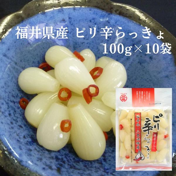 【商品名】福井県産 ピリ辛らっきょ (三年子) 100g×10袋【商品説明】三里浜の花らっきょは日本海沿岸に細長くのびた砂丘地で栽培しています。花らっきょの中でも大粒を選んで、昔ながらの味付けにこだわり、砂糖・酢・塩だけで漬けました。唐辛子...