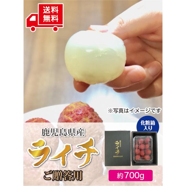 【発売日：2026年08月15日】★ご予約成立後でも、収穫量によってはキャンセルをお願いする場合がございます。　あらかじめご了承の上でのお申込みをお願い申し上げます。商品：生ライチ生産：国産(鹿児島産)内容量：約700g販売会社：岩田屋株式...