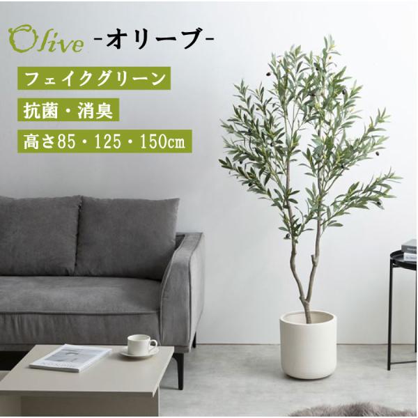光触媒人工観葉植物　オリーブ85cm / 125cm / 150cm日常空間にグリーンを気軽に取り入れられる、光触媒人工観葉植物シリーズのオリーブ。光触媒人工観葉植物は、照明光が当たることで消臭・抗菌・防汚・ホルムアルデヒドを分解する効果を...