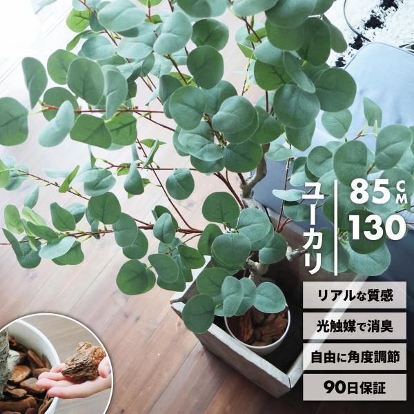 光触媒人工観葉植物　ユーカリ85cm / 130cm日常空間にグリーンを気軽に取り入れられる、光触媒人工観葉植物シリーズのユーカリ。光触媒人工観葉植物は、照明光が当たることで消臭・抗菌・防汚・ホルムアルデヒドを分解する効果を発揮します。面倒...