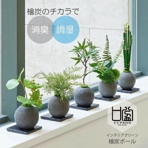 檜炭ボール(黒皿) CUPBONフェイクグリーンてまり草 / シノブ / サンキライ / 松 / トクサ / モミジミニサイズの造花盆栽。和の風情が漂うマリモ、シノブ、サンキライ、松、トクサ、そしてモミジを、脱臭・湿度調整機能に優れた檜（ヒ...