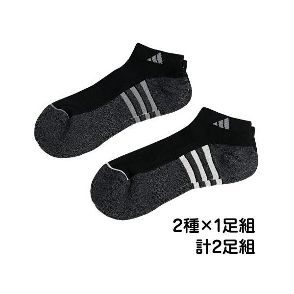 ソックス内でのムレを軽減するため、通気性・吸汗性・速乾性に優れたclimaliteテクノロジーを搭載したメンズソックス。吸水性・耐久性・足裏のクッション機能搭載で、快適な履き心地!※小分け販売のため、パッケージはついておりません。予めご了承...