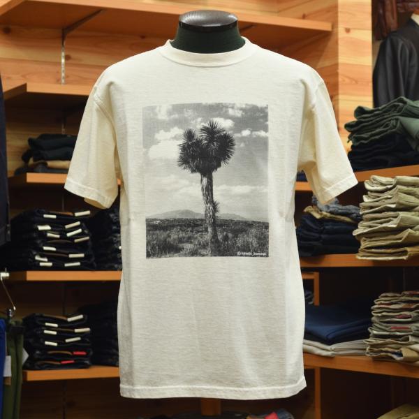 グッドオンからhiroshi homma氏のフォトTシャツ「Mexico × Love 1995」hiroshi hommaあらゆるものの生命や息吹き、活きている瞬間を写真やMOVIEに表現し続け、ファッションやドキュメントなど様々なジャン...