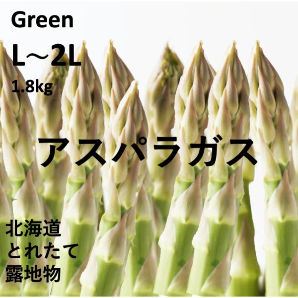 【発売日：2026年05月10日】2026年産　自社農園（ニセコファーム）のグリーンアスパラガスの予約を開始します。年に一度の北海道ならではのとれたての味をご堪能ください。【予約商品:2026年5月10日頃から順次発送予定・数量限定】〜5月...