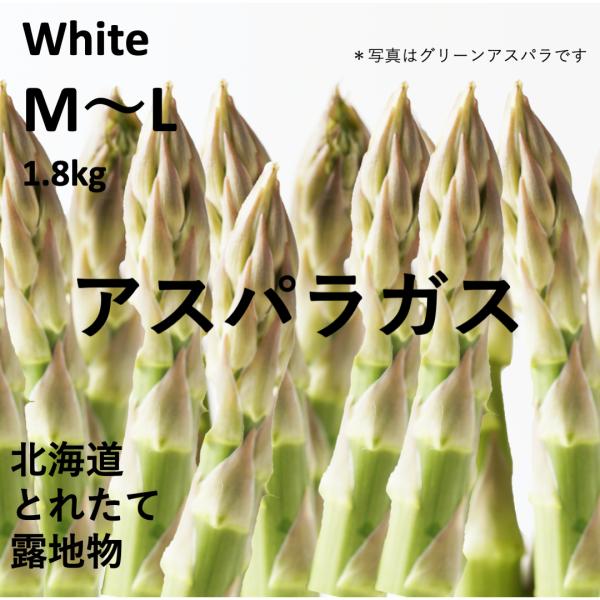 【発売日：2026年05月10日】2026年産　自社農園（ニセコファーム）のグリーンアスパラガスの予約を開始します。年に一度の北海道ならではのとれたての味をご堪能ください。【予約商品:2026年5月10日頃から順次発送予定・数量限定】〜5月...