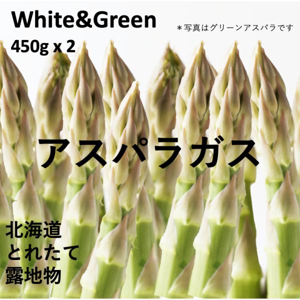 【発売日：2026年05月10日】2026年産　自社農園（ニセコファーム）のグリーンアスパラガスの予約を開始します。年に一度の北海道ならではのとれたての味をご堪能ください。【予約商品:2026年5月10日頃から順次発送予定・数量限定】〜5月...