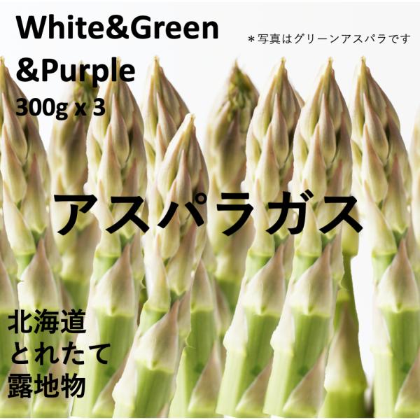 【発売日：2026年05月10日】2026年産　自社農園（ニセコファーム）のグリーンアスパラガスの予約を開始します。年に一度の北海道ならではのとれたての味をご堪能ください。【予約商品:2026年5月10日頃から順次発送予定・数量限定】〜5月...