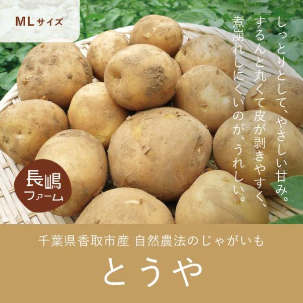 美しい自然広がる北海道・洞爺湖が由来の「とうや」。果肉が黄色く上品な味わいで、凸凹が少ないため皮が剥きやすい品種です。煮崩れしにくく、肉じゃがやカレーなどの煮込み料理に最適。また、スライスしてサラダや炒め物にすれば、なめらかな舌触りを楽しめ...