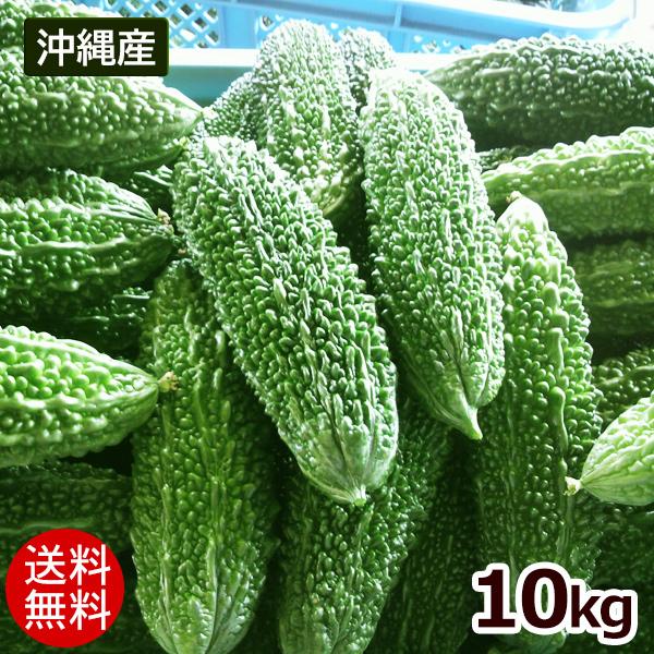 沖縄産の栄養たっぷりゴーヤーです！ゴーヤーちゃんぷるや、サラダ、天ぷらなどいろいろなジャンルの料理に使えます。※気温や状況によって、常温で発送する場合とクールで発送する場合があります。※生産状況により仕入価格が上下する為、販売価格につきまし...