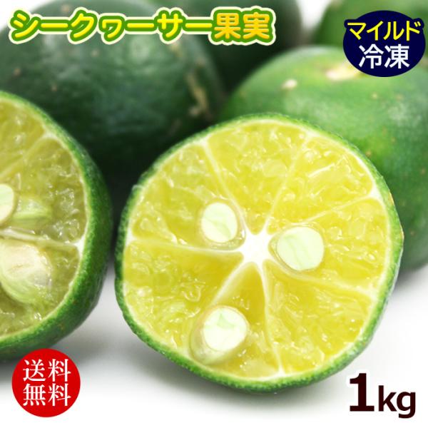 10月〜11月収穫分のシークワーサー果実（マイルド果汁）です。酸味が弱まり若干甘みが増し、菓子や果汁原料等におすすめ。※一部キズのある果実がございますが商品には問題ありません。※必要な分を自然解凍してご利用ください。/沖縄産 シークヮーサー果実/