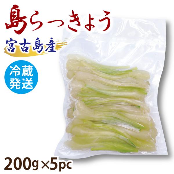【島らっきょう】は、沖縄で古くから作られてきたラッキョウの一種です。 生のまま調理、塩漬けや天ぷらなどで食べるのが一般的です。 一般的なラッキョウよりも香りがとても強く、ピリッとした辛さがあるのが特徴です。 宮古島の恵みを存分に浴びた島らっ...