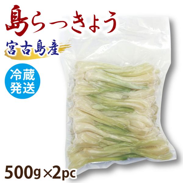 【島らっきょう】は、沖縄で古くから作られてきたラッキョウの一種です。 生のまま調理、塩漬けや天ぷらなどで食べるのが一般的です。 一般的なラッキョウよりも香りがとても強く、ピリッとした辛さがあるのが特徴です。 宮古島の恵みを存分に浴びた島らっ...