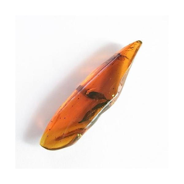 2枚の葉を内包した赤みがかったドミニカ産の琥珀です。肉眼でも分かる虫も内包されていますよ。こちらの葉は細長い感じなので、ヒメナエアのものかは分かりません。よくみると、葉脈も薄っすら見られます。流動性のある樹液に取り込まれた虫や葉などの植物は...