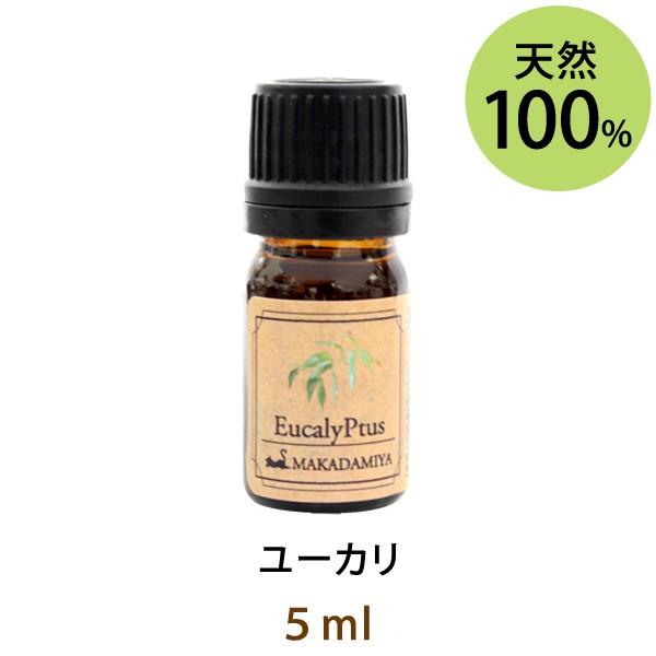 成分／ユーカリ（天然由来100%エッセンシャルオイル） 容量／5ml 学名 ： Eucalyptus globulus  科名 ： フトモモ科 揮発度 ： トップノート 香りの強さ ： ★★★ 肌への刺激：中 産地 ： 中国 抽出部位 ： ...