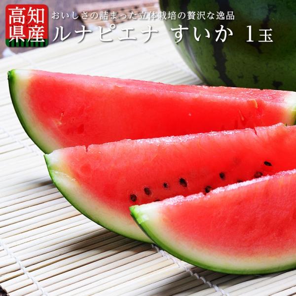 【発売日：2024年11月11日】商品名（名称）すいか ルナピエナ産地名 高知 県産内容量 1玉 約2kg（風袋込）保存方法 商品到着後は直射日光・高温多湿を避けて冷暗所にて保管して頂きましてお早めにお召し上がり下さい。配送方法 ヤマト運輸...