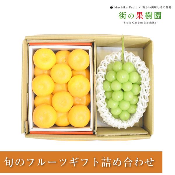 【発売日：2026年07月10日】名称（商品名） ハウスみかん シャインマスカット産地名 佐賀県産 (ハウスみかん)山梨県産（シャインマスカット）内容量  ハウスみかん 約1kｇ　シャインマスカット 約500g計約1.5kg保存方法【ハウス...