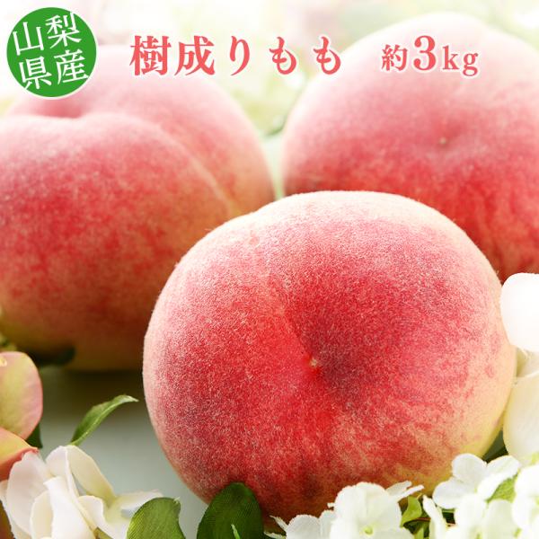【発売日：2026年07月04日】名称（商品名） 樹成りもも産地名 山梨県産内容量 9-12玉 約３kg（風袋込）保存方法 商品到着後は直射日光・高温多湿を避けて冷暗所にて保管して頂きましてお早めにお召し上がり下さい。配送方法 ヤマト運輸・...