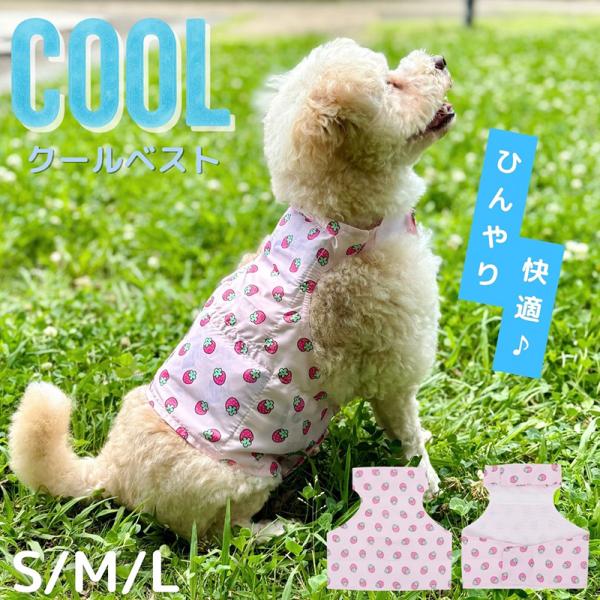 ひんやり快適！夏のお散歩を涼しくする犬用クールベスト暑さが厳しい季節でも、わんちゃんにとって毎日のお散歩は大切な時間。クールベストは、保冷剤を入れられるポケット付きで、ひんやり感をしっかりキープ！接触冷感生地と通気性バツグンのメッシュ裏地で...