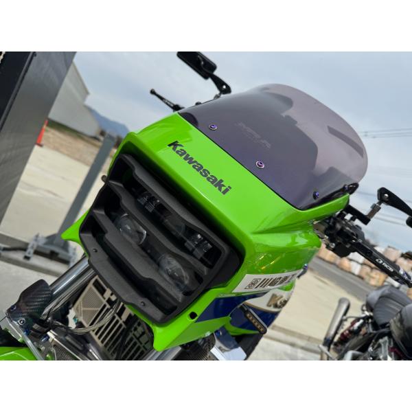 カワサキ ZRX1200ダエグ専用 ヘッドライトルーバー タイプ1PITBULL オリジナルパーツルーバーが大きく張り出したブリスタータイプ！光量、光軸を妨げない様に設計。ワンタッチ取付けで即ワル顔チェンジ★【ZRX1200DAEG純正ビキ...