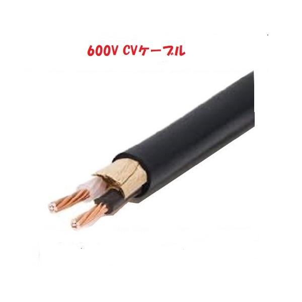 ●メーカー:フジクラ　HST　法人個人事業主限定●型番:600V　CV2SQ×2C　100ｍ巻●商品名:【切売販売】 600V 架橋ポリエチレン絶縁ビニルシース電力ケーブル　
