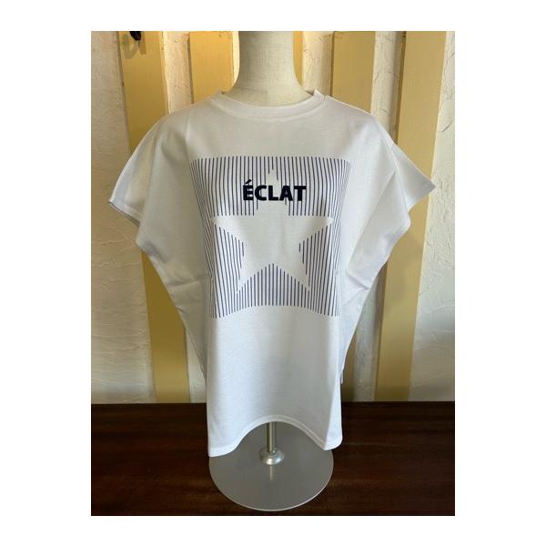 Le chanter＊ルシャンテ　スターストライプロゴＴシャツ　510104-10ホワイト×ブルー