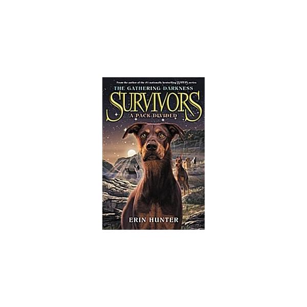 【お取り寄せ・キャンセル不可の商品】：2週間~4週間でお届け（お急ぎの方はご遠慮ください。）　／　【本の説明】320ページ　130*193mm　言語：English　国：アメリカ　209g　ISBN:9780062343352　対象年齢：1...