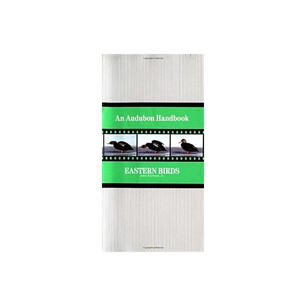 【お取り寄せ・キャンセル不可の商品】：2週間~4週間でお届け（お急ぎの方はご遠慮ください。）　／　【本の説明】510ページ　119*221mm　言語：English　国：アメリカ　753g　ISBN：9780070199767　／　【本の内...