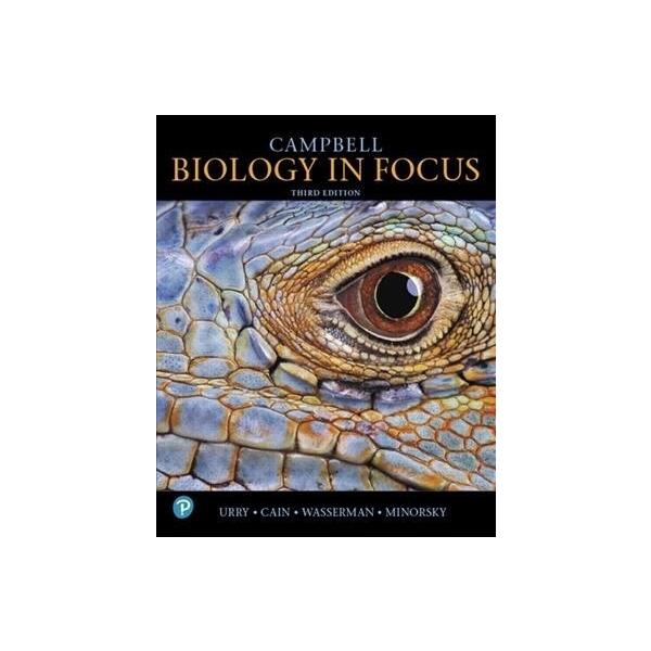 【お取り寄せ・キャンセル不可の商品】：2週間~4週間でお届け（お急ぎの方はご遠慮ください。）　／　【本の説明】1120ページ　229*277mm　言語：English　国：アメリカ　2676g　ISBN：9780134710679　／　【本...