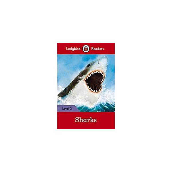 【お取り寄せ・キャンセル不可の商品】：2週間~4週間でお届け（お急ぎの方はご遠慮ください。）　／　【本の説明】64ページ　152*229mm　言語：English　国：イギリス　367g　ISBN:9780241253823　対象年齢：7~...