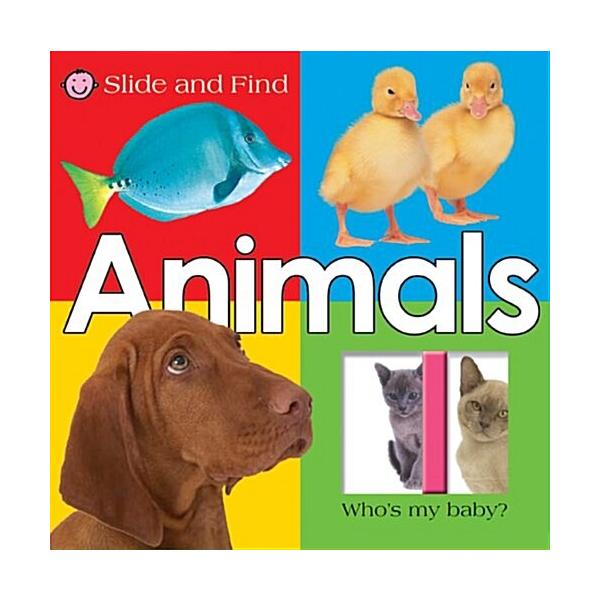 【お取り寄せ・キャンセル不可の商品】：2週間~4週間でお届け（お急ぎの方はご遠慮ください。）　／　【本の説明】13ページ　267*273mm　言語：English　国：アメリカ　726g　ISBN:9780312503635　／　【本の内容...