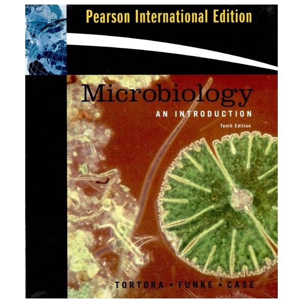 【お取り寄せ・キャンセル不可の商品】：2週間~4週間でお届け（お急ぎの方はご遠慮ください。）　／　【本の説明】960ページ　235*275mm　言語：English　2100g　ISBN：9780321584205　／　【本の内容】New ...