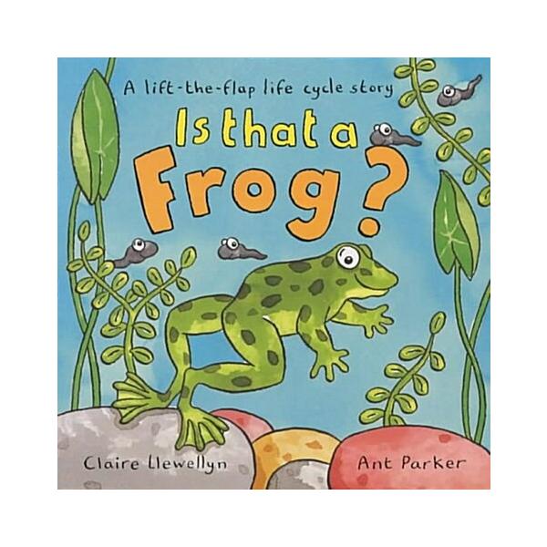 【お取り寄せ・キャンセル不可の商品】：2週間~4週間でお届け（お急ぎの方はご遠慮ください。）　／　【本の説明】24ページ　149*214mm　言語：English　290g　ISBN:9780333962251　／　【本の内容】Beetle...