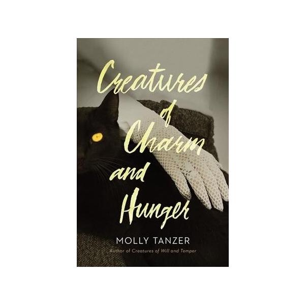 【お取り寄せ・キャンセル不可の商品】：2週間~4週間でお届け（お急ぎの方はご遠慮ください。）　／　【本の説明】320ページ　140*203mm　言語：English　国：アメリカ　227g　ISBN：9780358065210　／　【本の内...