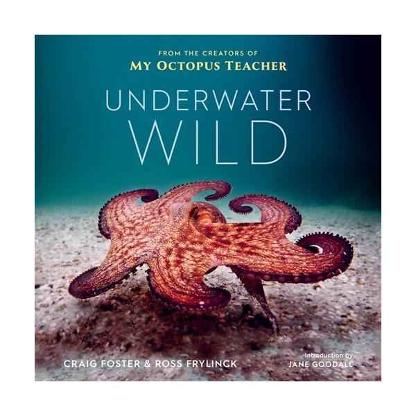 【お取り寄せ・キャンセル不可の商品】：2週間~4週間でお届け（お急ぎの方はご遠慮ください。）　／　【本の説明】344ページ　315*310mm　言語：English　国：アメリカ　3062g　ISBN：9780358664758　／　【本の...