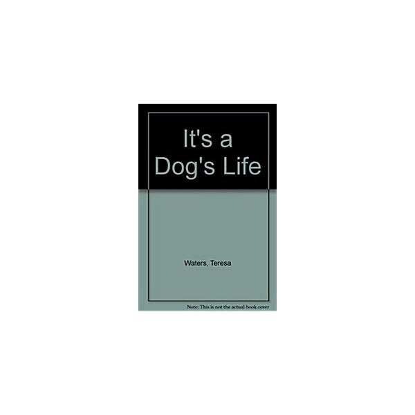 【お取り寄せ・キャンセル不可の商品】：2週間~4週間でお届け（お急ぎの方はご遠慮ください。）　／　【本の説明】23ページ　言語：English　21g　ISBN:9780439692601　／　【本の内容】Andy is playing h...