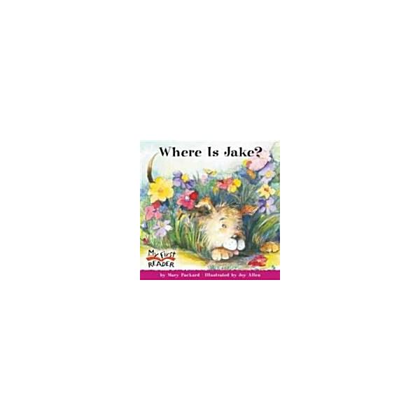 【お取り寄せ・キャンセル不可の商品】：2週間~4週間でお届け（お急ぎの方はご遠慮ください。）　／　【本の説明】32ページ　203*203mm　言語：English　国：アメリカ　91g　ISBN:9780516246413　対象年齢：6~6...