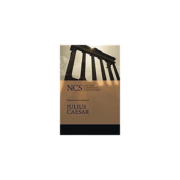 【お取り寄せ・キャンセル不可の商品】：2週間~4週間でお届け（お急ぎの方はご遠慮ください。）　／　【本の説明】226ページ　153*228mm　言語：English　国：イギリス　390g　ISBN：9780521535137　／　【本の内...