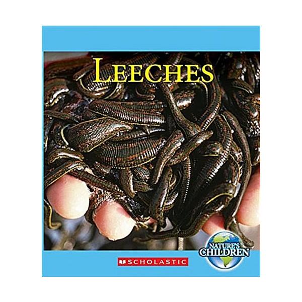 【お取り寄せ・キャンセル不可の商品】：2週間~4週間でお届け（お急ぎの方はご遠慮ください。）　／　【本の説明】48ページ　188*218mm　言語：English　国：アメリカ　218g　ISBN:9780531213940　対象年齢：8~...