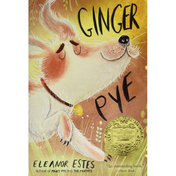 【お取り寄せ・キャンセル不可の商品】：2週間~4週間でお届け（お急ぎの方はご遠慮ください。）　／　【本の説明】320ページ　127*191mm　言語：English　国：アメリカ　227g　ISBN:9780544927810　対象年齢：8...