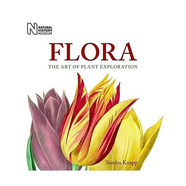 【お取り寄せ・キャンセル不可の商品】：2週間~4週間でお届け（お急ぎの方はご遠慮ください。）　／　【本の説明】336ページ　150*210mm　言語：English　国：イギリス　381g　ISBN：9780565093341　／　【本の内...